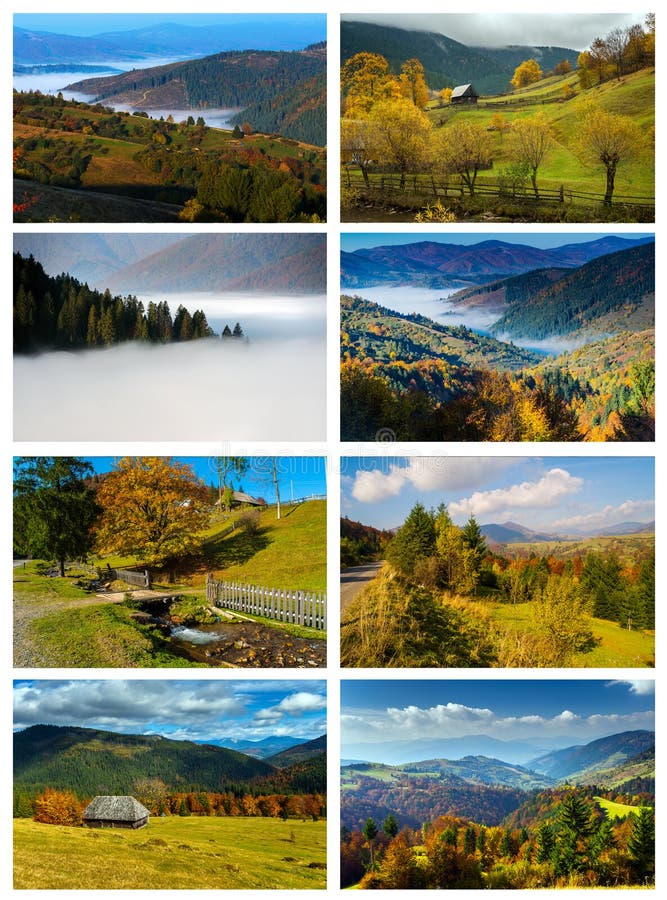 Collage fauna of Kenya stock image. Image of themes, animals - 79324157