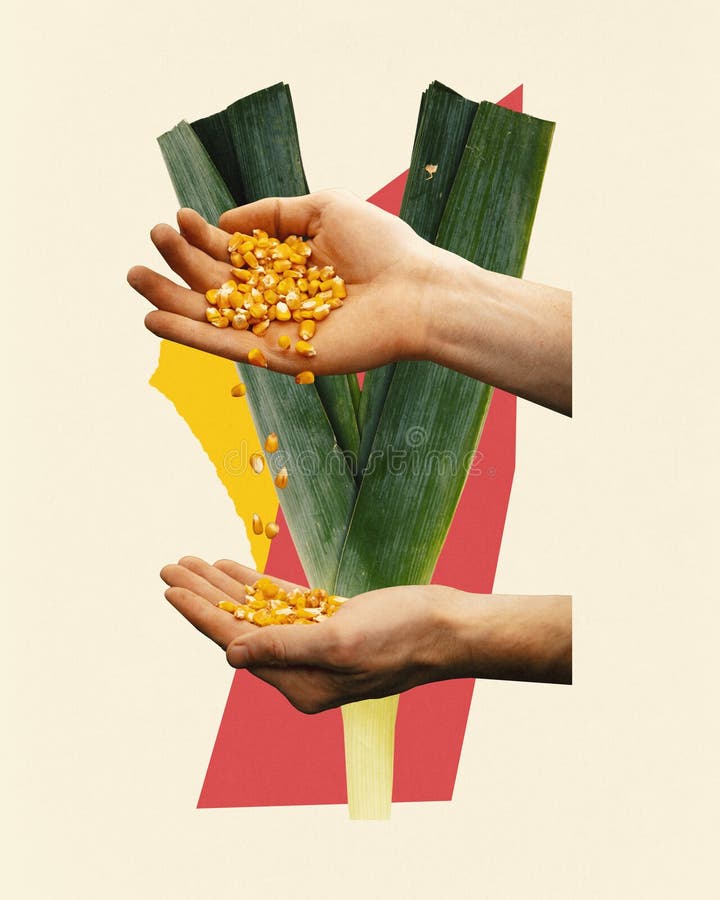 Collage Featuring Hands Pouring Corn Kernels, Layered with Green Leaves ...