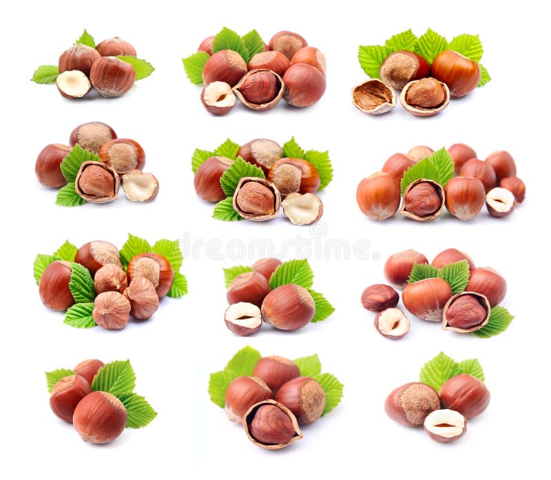 Collage of nuts stock photo. Image of crude, closeup - 22976372