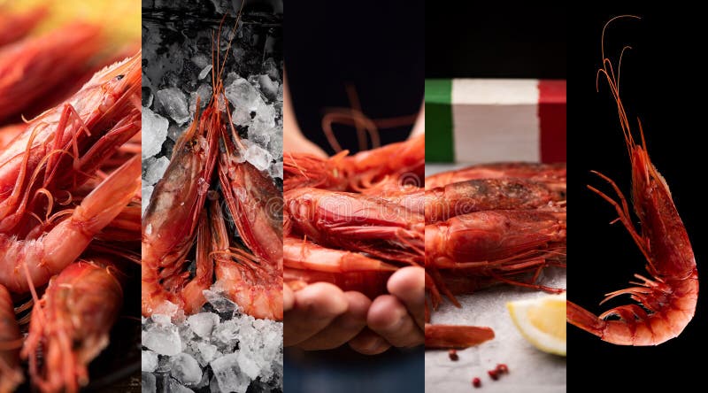 Collage of Fish with Red King Prawns Stock Image - Image of gourmet ...
