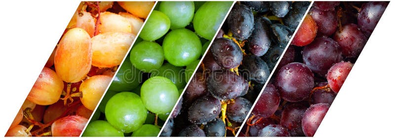 Collage of Four Grape Varieties Stock Photo - Image of nature, juicy ...