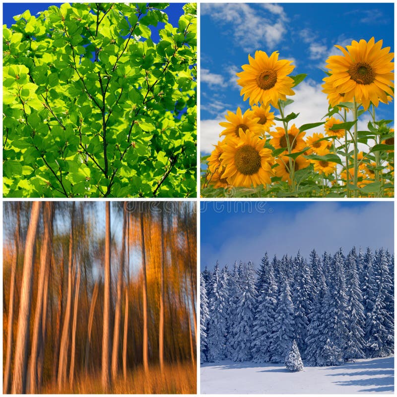 Collage of four seasons stock image. Image of season - 38844711