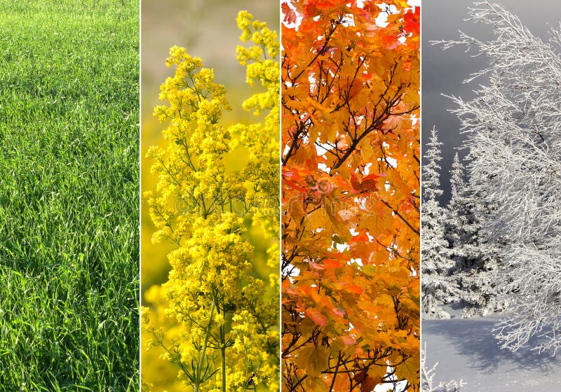 Collage of four seasons stock photo. Image of field, snow - 66582184