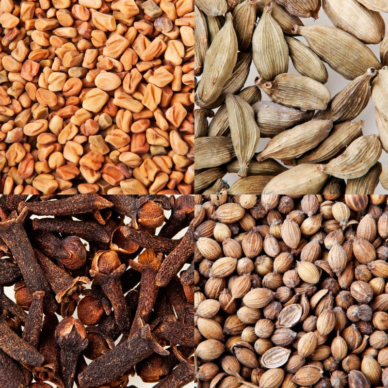 Collage of four spices. stock photo. Image of asian, cardamom - 24042090