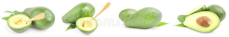 Collage of Fresh Avocados Isolated on a White Background Cutout Stock ... Collage of Fresh Avocados Isolated on a White Background Cutout Stock ...