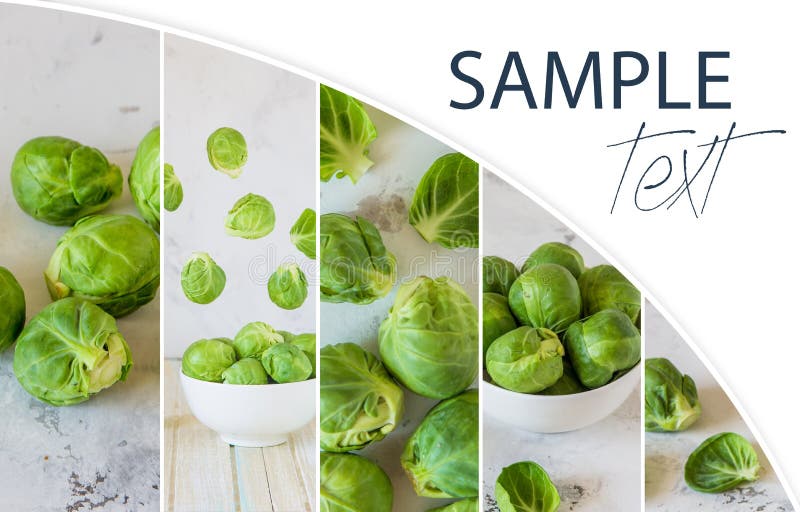 Collage with Fresh Brussels Sprouts with Copy Space for Text Stock ...