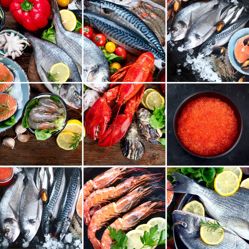 Collage of Fresh Fish and Seafood Stock Image - Image of market, recipe ...