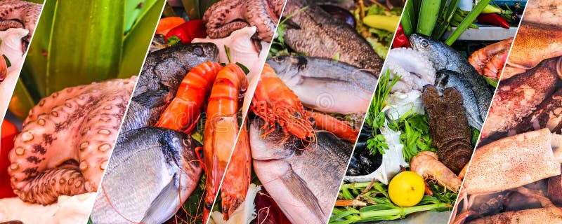 Seafood Dish Collage with Fish, Shrimp, Mussels, Octopus, and Squid ...