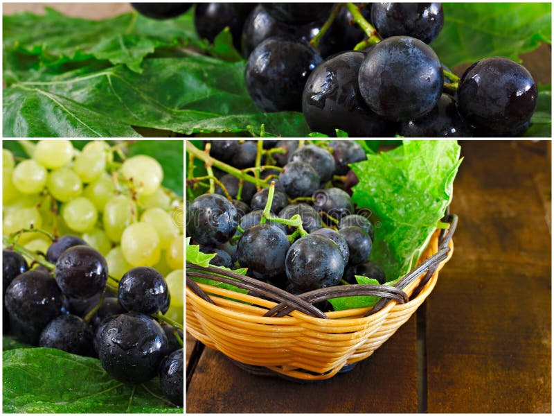 Collage of Green and Black Grapes Stock Image - Image of purple ...