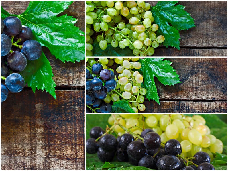 Collage of Green and Black Grapes Stock Photo - Image of closeup ...
