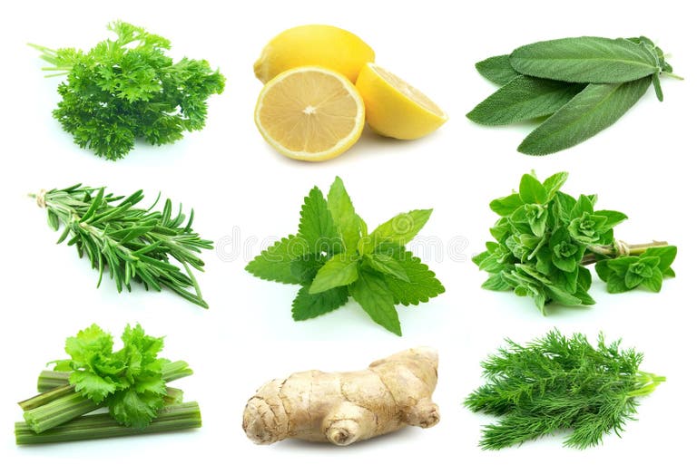 6,240 Green Herb Collage Stock Photos - Free & Royalty-Free Stock ...