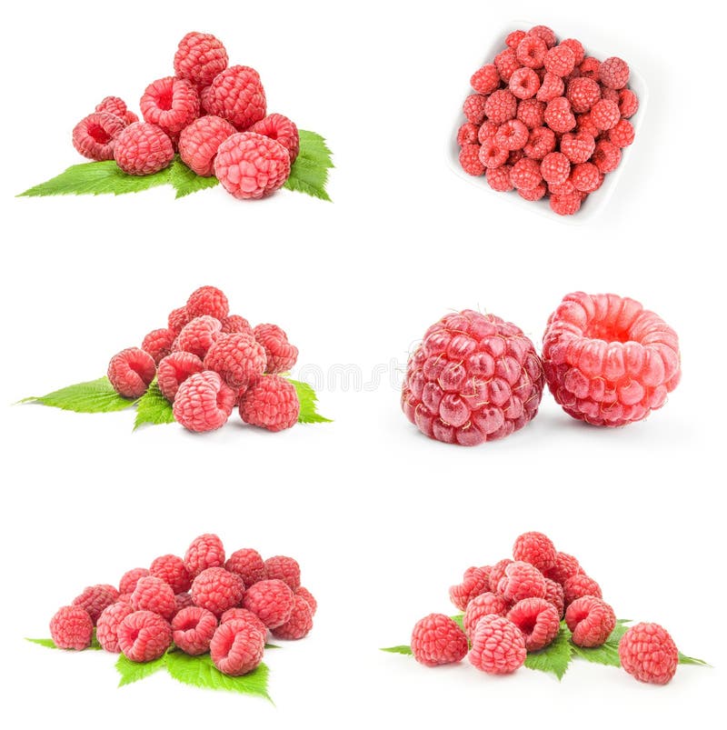 Collage of Raspberries on a White Background Stock Image - Image of ...