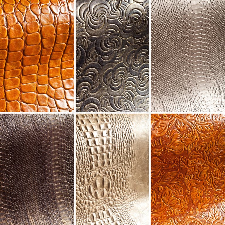 345 Dinosaur Collage Vn Stock Photos - Free & Royalty-Free Stock Photos ...