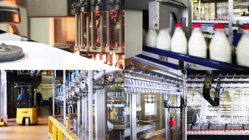 Collage with Many Milk Bottles Move on Conveyor at Stock Footage ...