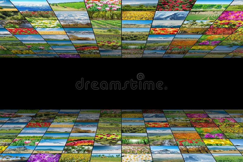 The Collage of Many Nature Photos Stock Illustration - Illustration of ...