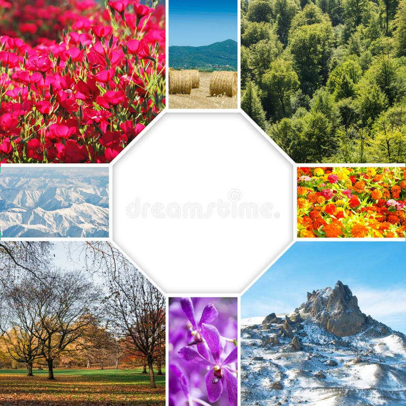 The Collage of Many Nature Photos Stock Image - Image of arrangement ...
