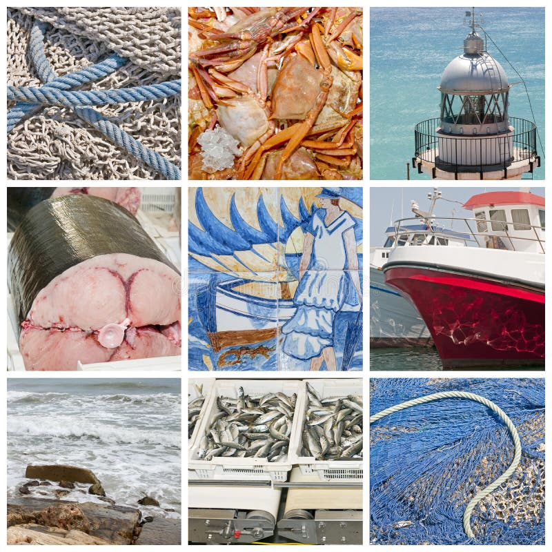Collage marítimo imagen de archivo. Imagen de fauna, mercado - 22280135