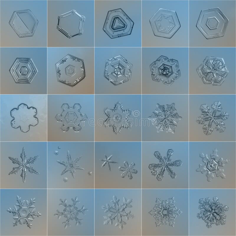 Vorm Van 5 Cijfer Foto Collage Foto's - gratis en royaltyvrije ...