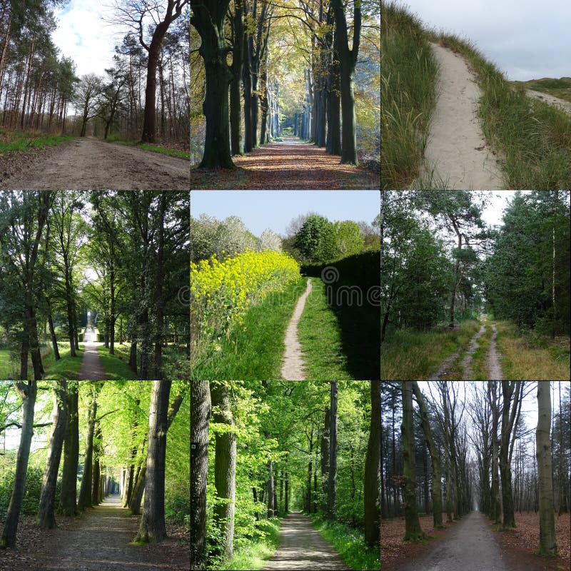 Collage of Nine Trails through Nature Stock Illustration - Illustration ...