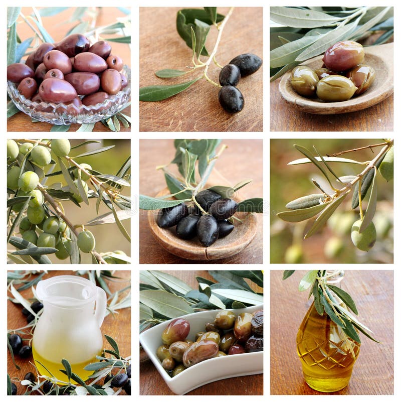 Collage with Olives and Olive Oil Stock Image - Image of food, cuisine ...