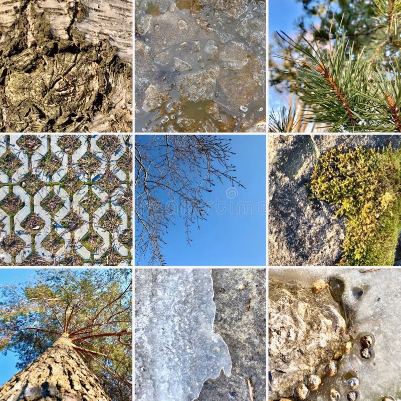 A Collage of 9 Photos on the Spring Issue. Stock Image - Image of clean ...