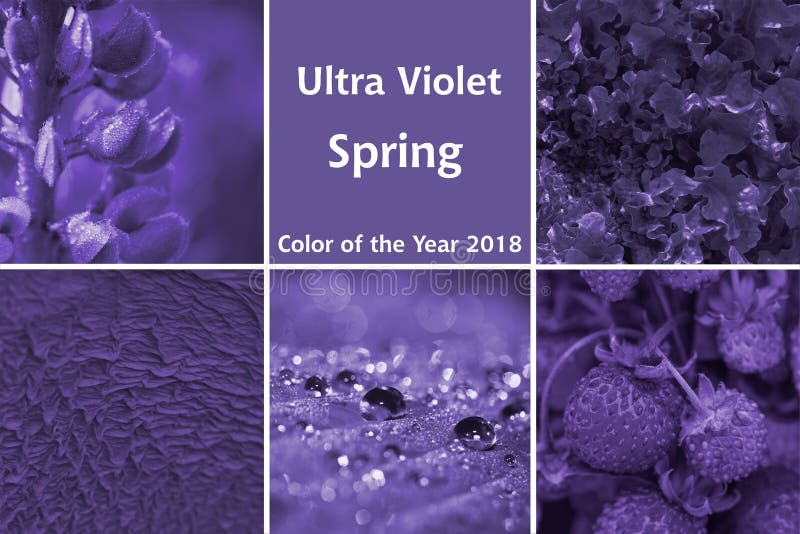 Collage of Ultra Violet - Spring Stock Photo - Image of theme, ultra ...