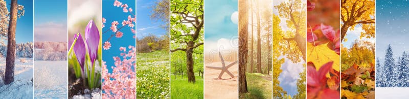 Collage of the Photos of the Twelve Months of the Year. Stock Image ...