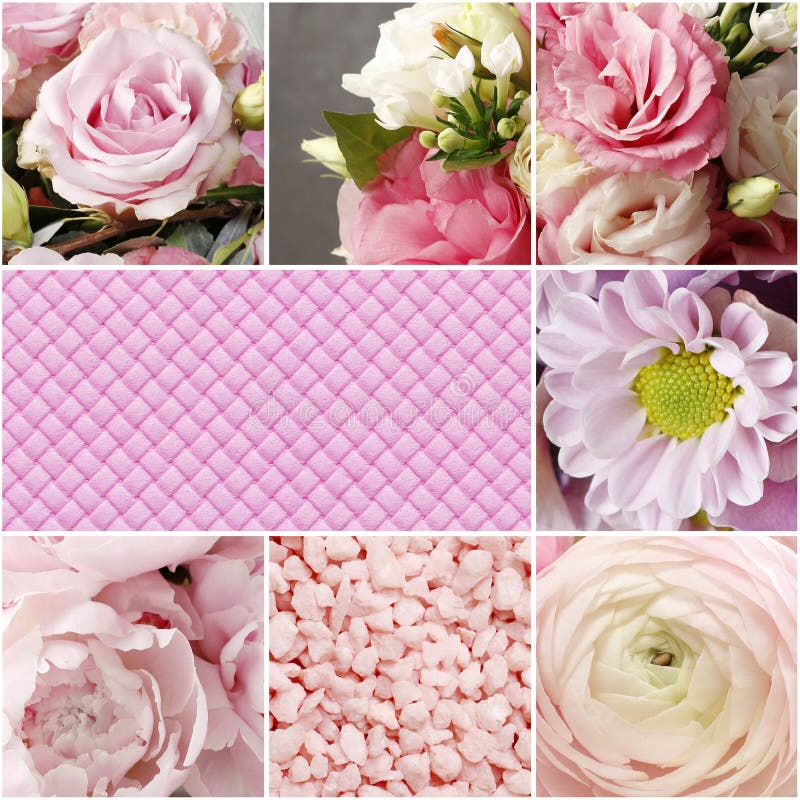 Collage with Pink Flowers, Quilted Pink Pattern Stock Photo - Image of ...