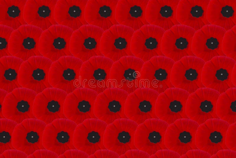 Collage of Red Poppy Flower Stock Image - Image of celebrate, vintage ...