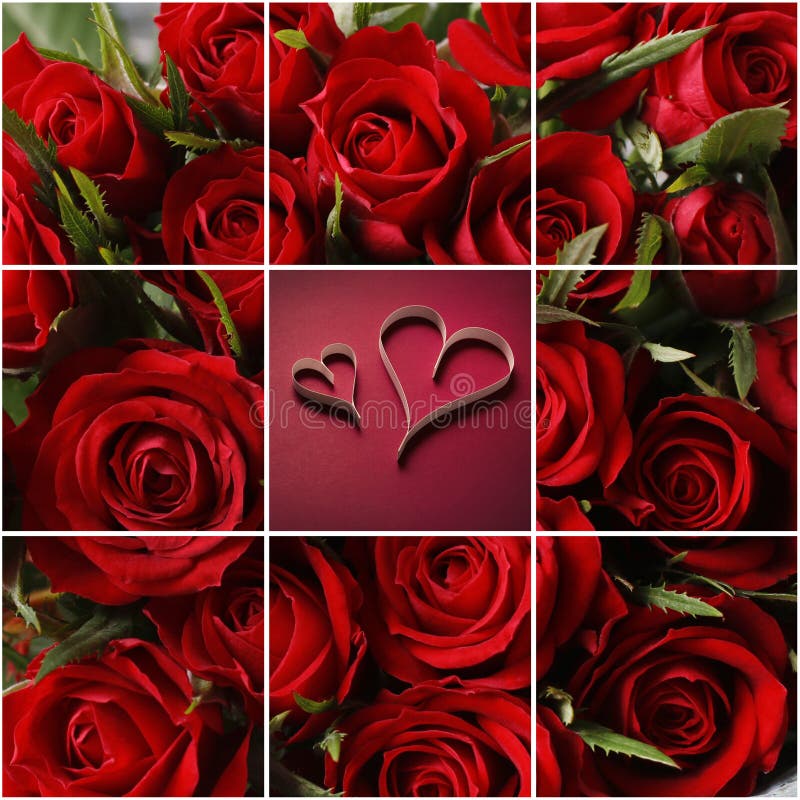 Collage with Red Roses and Paper Hearts Stock Image - Image of ...