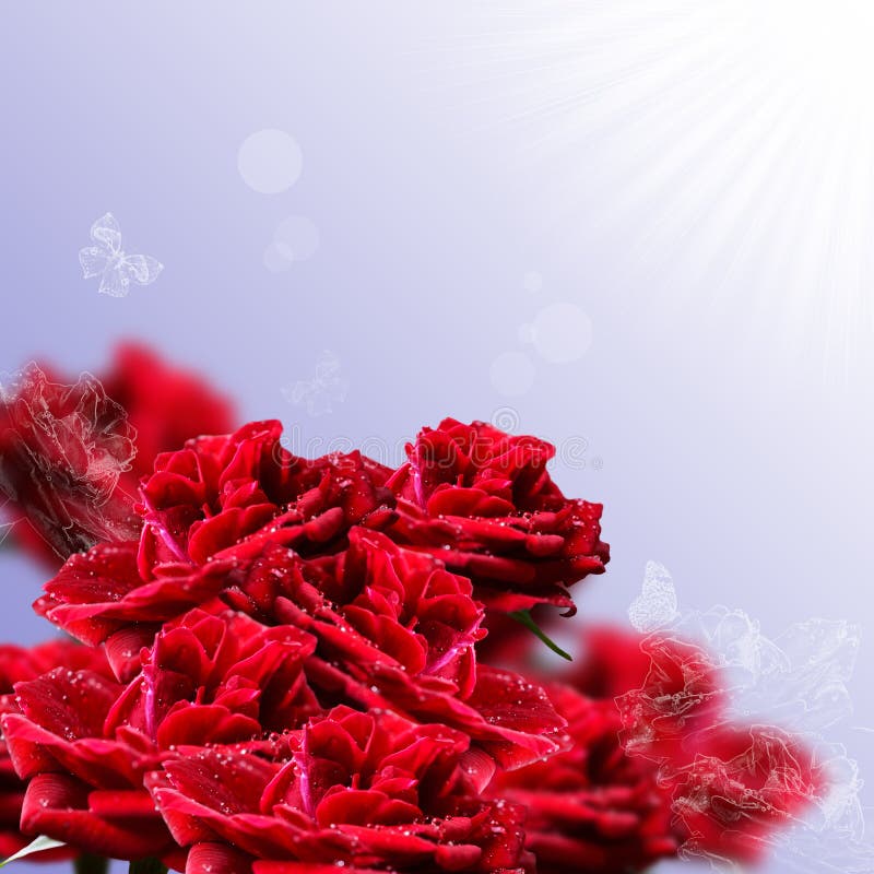 Collage of red roses stock image. Image of decoration - 50526925