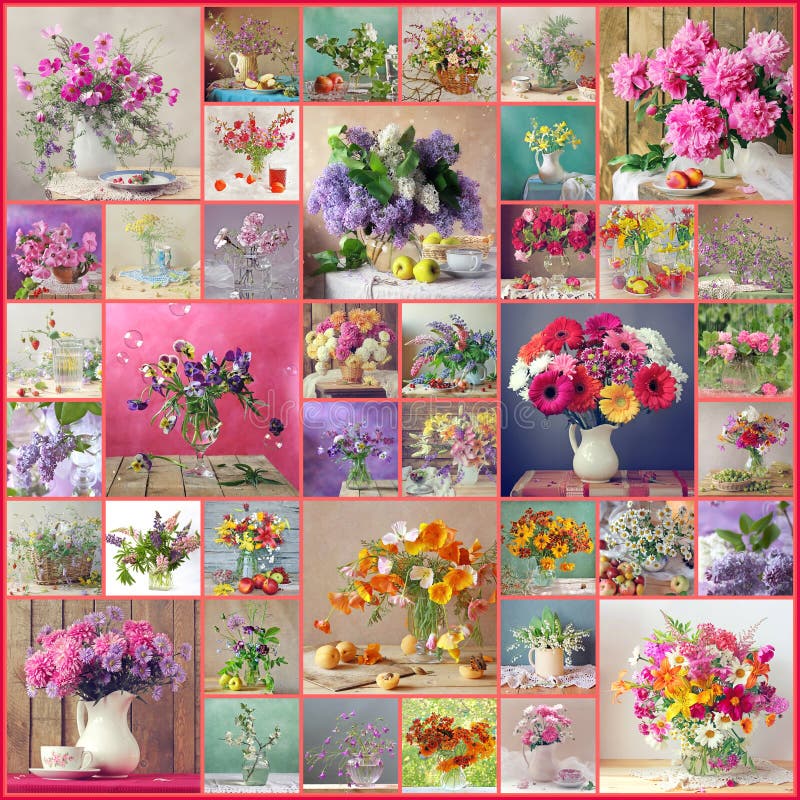 Collage Still Lifes Bouquets Stock Photos - Free & Royalty-Free Stock ...