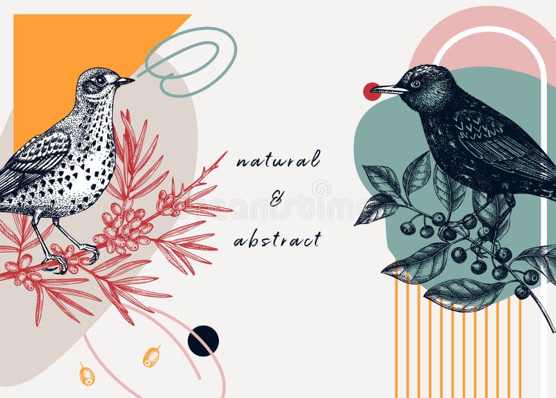 Collage Style Bird Background. Sketched Bird Trendy Frame Stock Vector ...