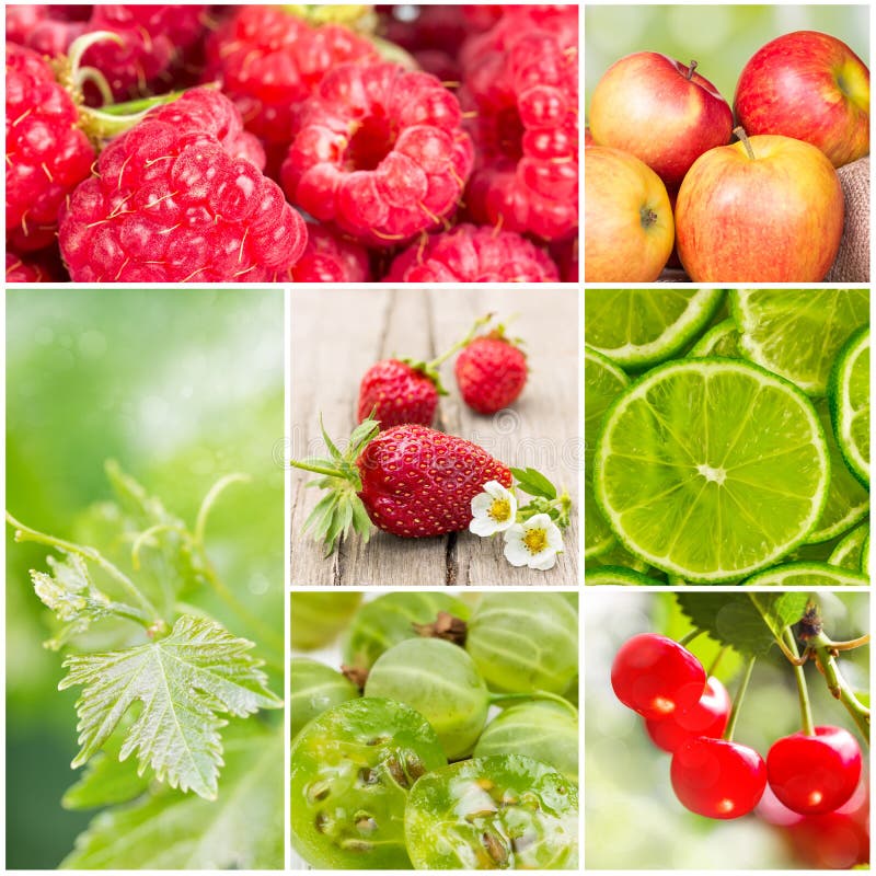 Collage of summer fruits stock image. Image of delicious - 32117909