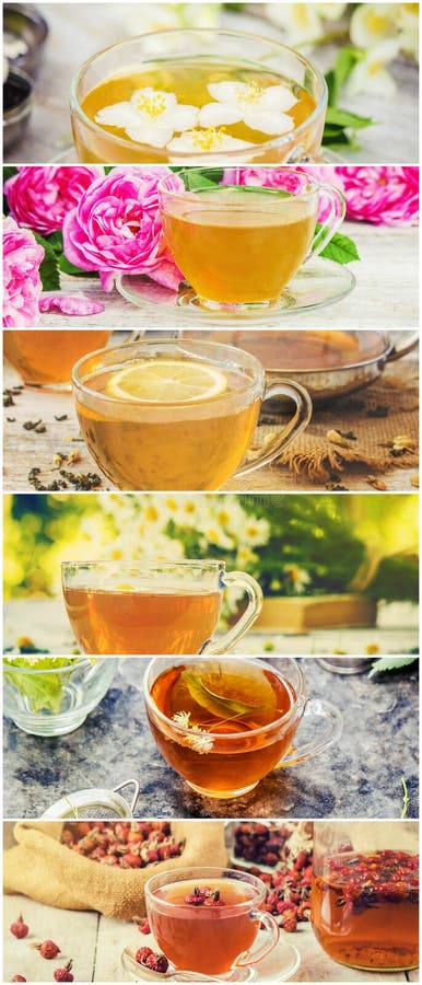 Collage of Tea. Selective Focus Stock Image - Image of hands, mint ...