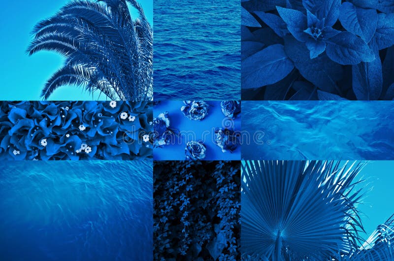 Collage Toned in Blue Trendy Color 2020. Stock Photo - Image of media ...