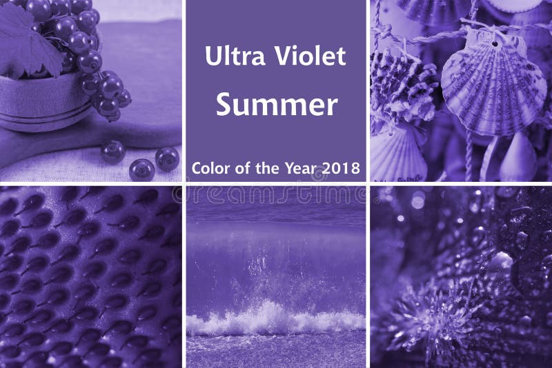 Collage of Ultra Violet - Summer Stock Image - Image of seashells ...
