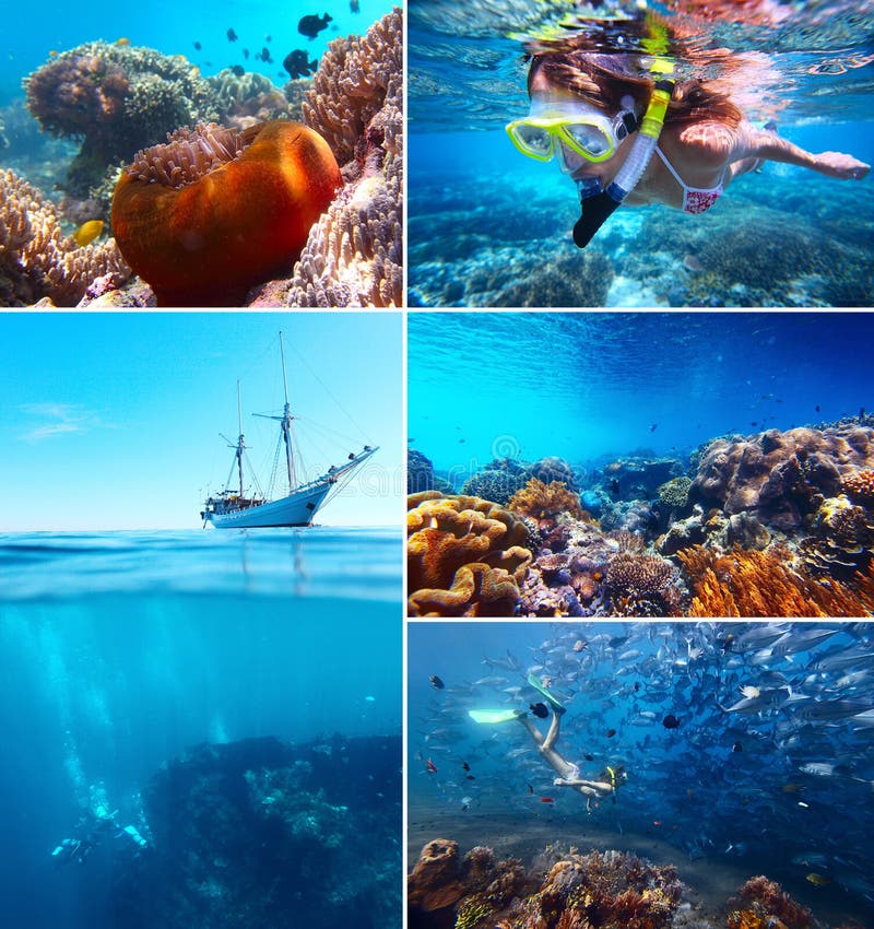 Snorkeling Underwater Collage Stock Image - Image of mask, corals: 21587701