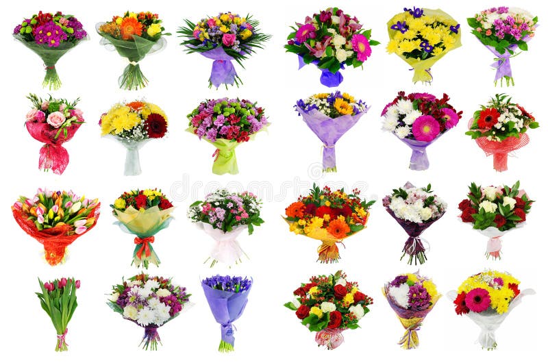 Collage of Various Colorful Flower, Set of Bouquets Isolated on Stock ...