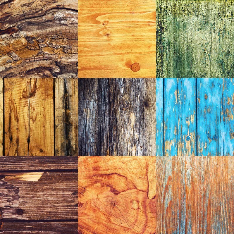 Collage of Various Different Wood Texture Samples Stock Image - Image ...