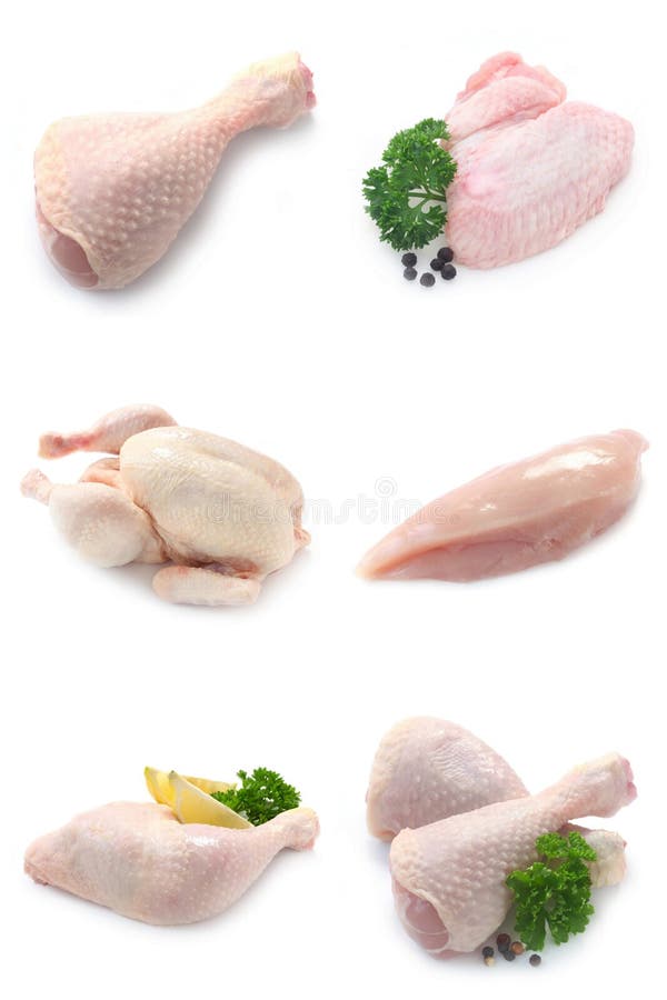 Chicken Collection stock photo. Image of isolated, meat - 166443476