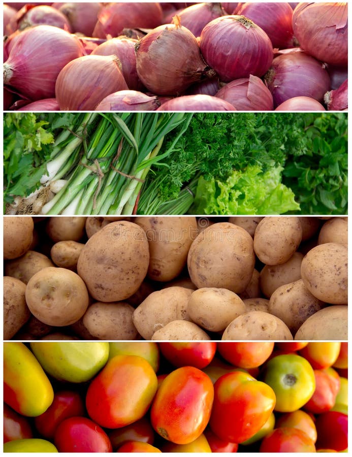 Collage vegetal foto de archivo. Imagen de colorido, alimento - 23417084