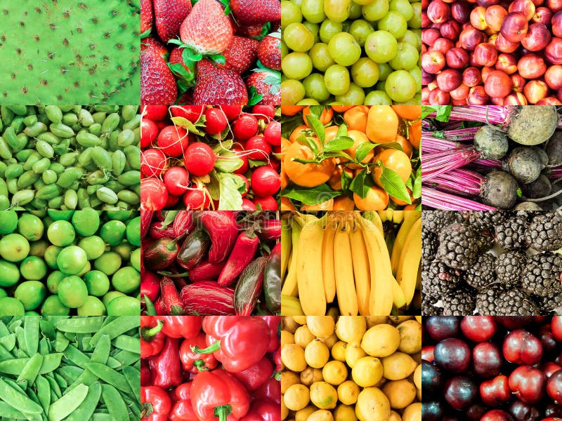 Collage vegetal orgánico foto de archivo. Imagen de generosidad - 48570852