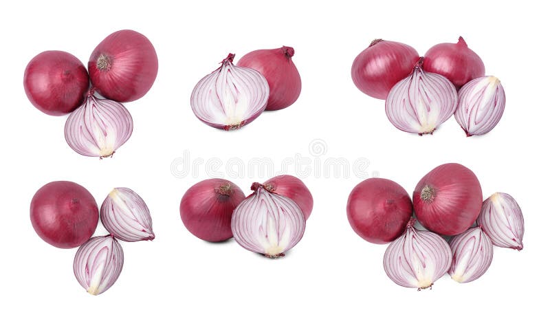 Collage with Whole and Cut Red Onions on White Background Stock Image ...