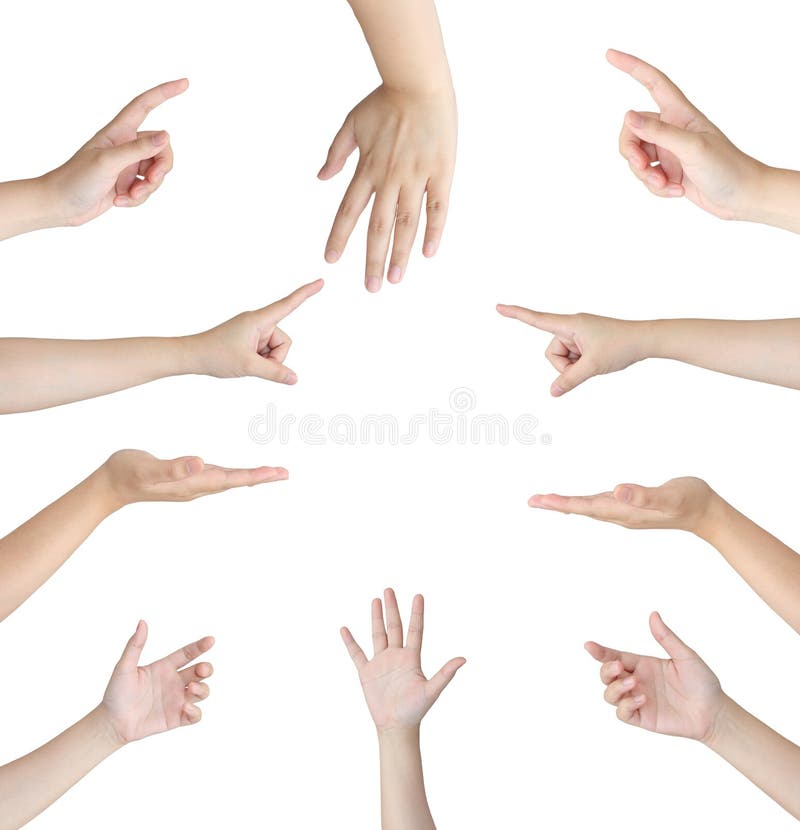 Collage of Woman Hands on White Backgrounds Stock Image - Image of ...