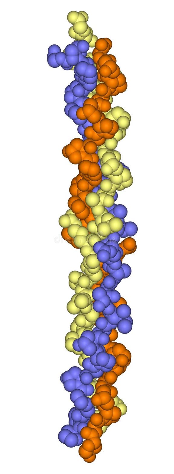 Collagen Helix Stock Illustrations – 1,241 Collagen Helix Stock ...
