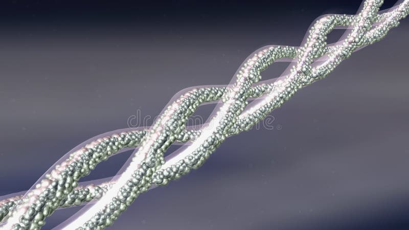 Collagen Molecule Structure 3D Model Stock Illustration - Illustration ...