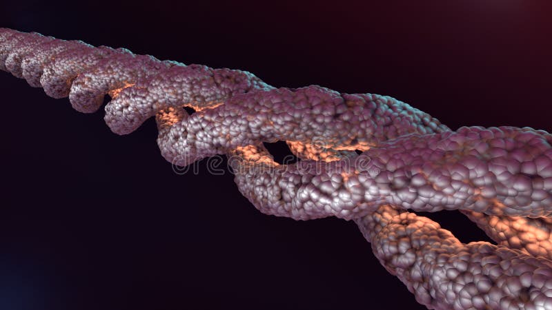 Collagen Molecule Triple-helical Structure 3d Rendered Illustration ...