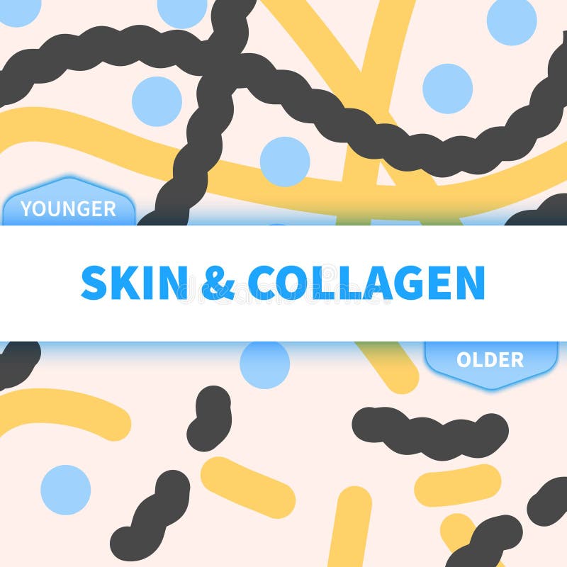 Collagen Peptide Protein Molecule Skin Cell Background Stock Vector ...