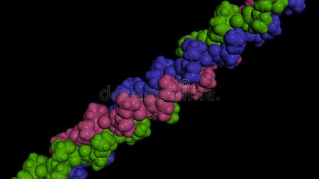 Collagen Protein Molecule. Molecular Model Stock Illustration ...